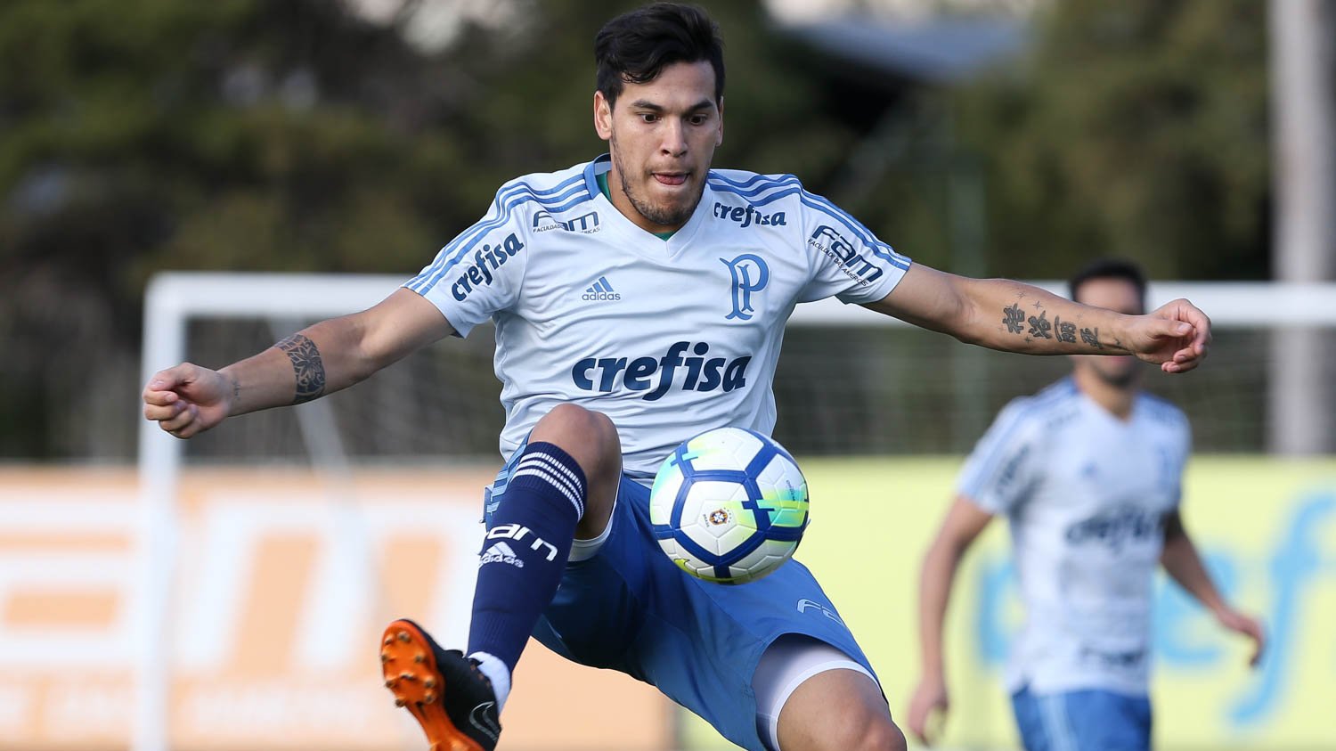 Verdão Faz Treino Técnico E Tático Em Preparação Ao Duelo Com O Bahia
